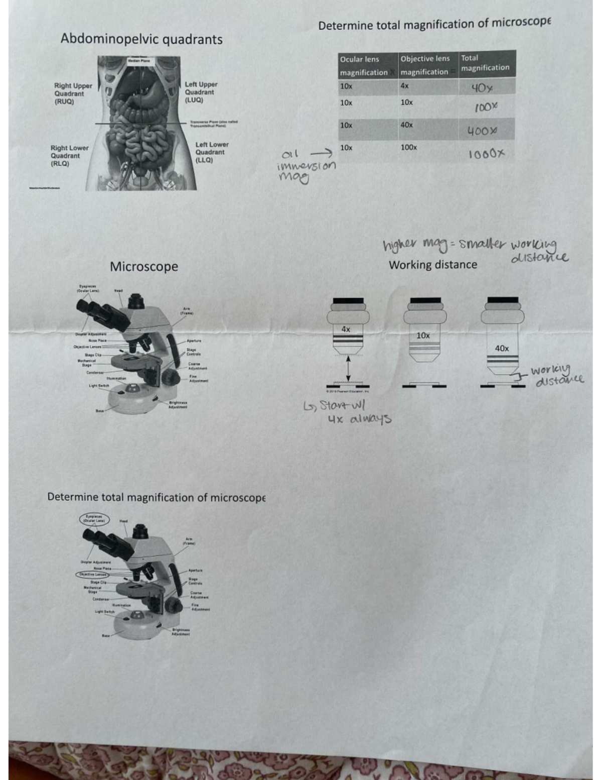 Microscope Total Magnification Analysis: Ocular & Objective Lenses ...