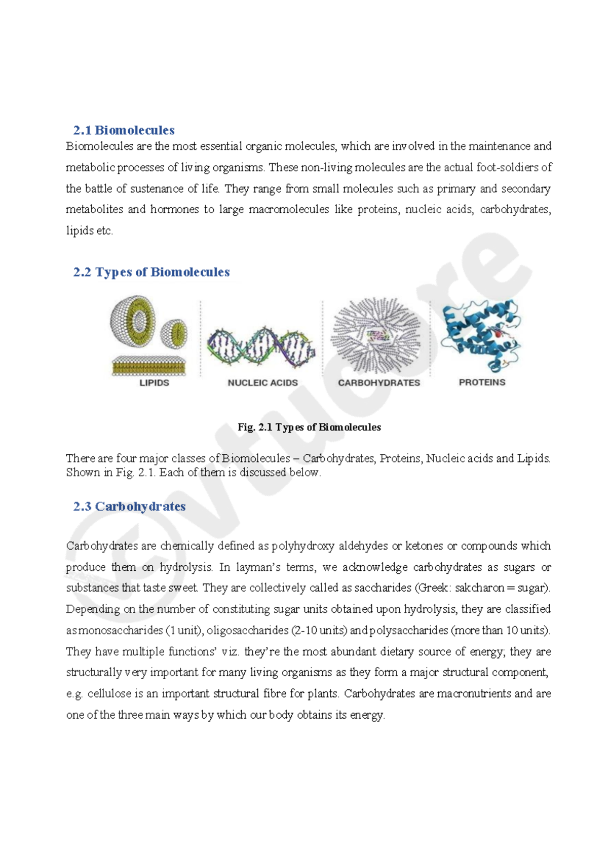 Biomolecules and Their Functions: A Study Guide (Module 2) - Studocu