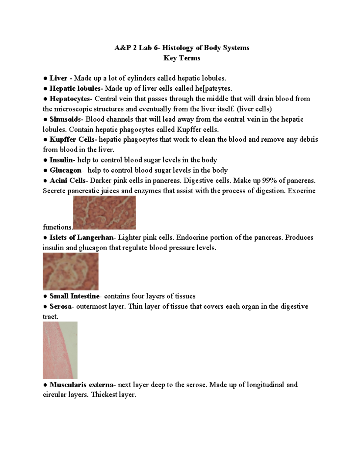 A&P 2 Lab 6: Detailed Histology of Body Systems Overview - Studocu