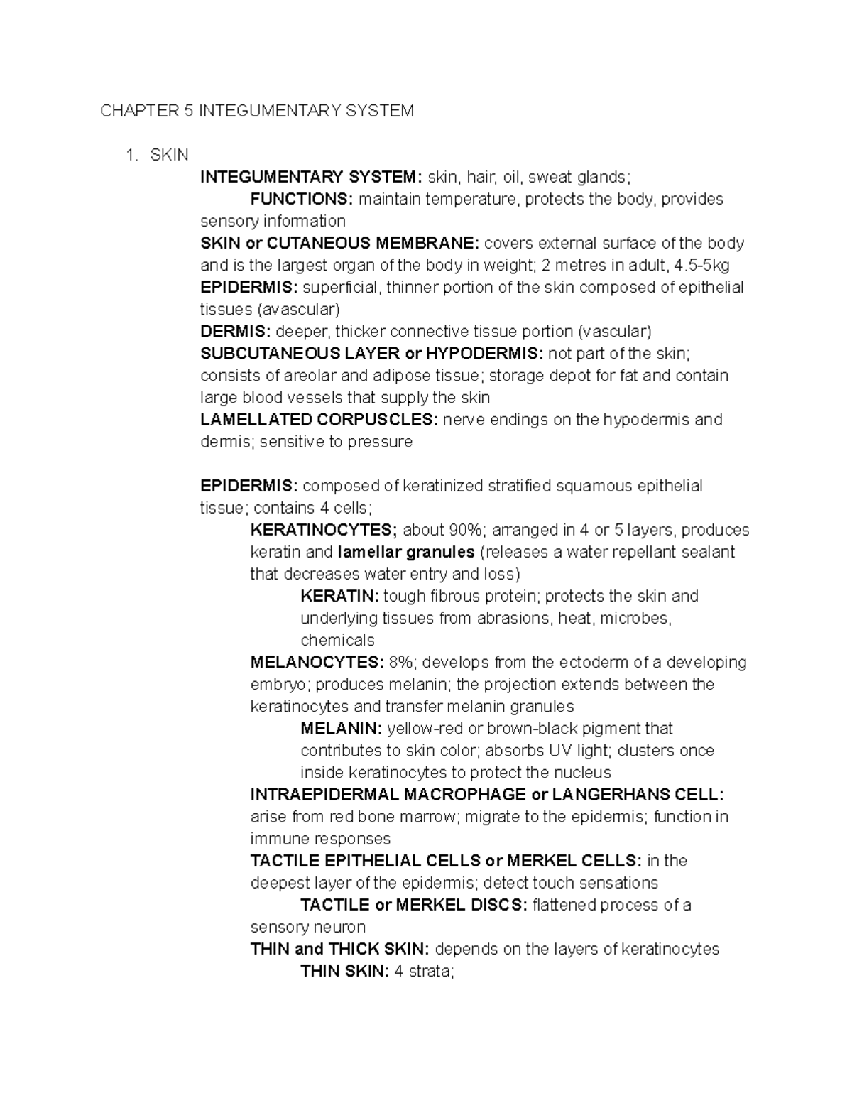 Chapter 5 Integumentary System: Comprehensive Study Guide - Studocu