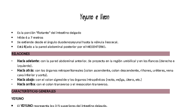 Yeyuno e Íleon: Anatomía y Funciones del Intestino Delgado - Studocu