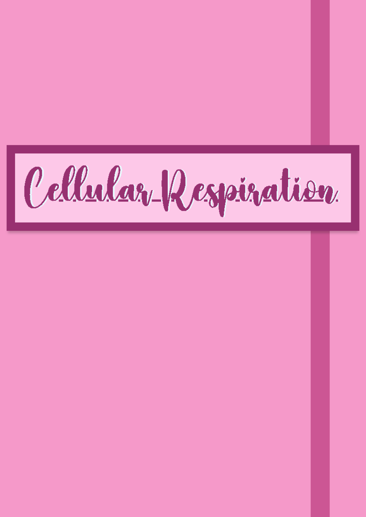 Cellular Respiration Refresher: Glycolysis, Krebs Cycle & ETC - Studocu