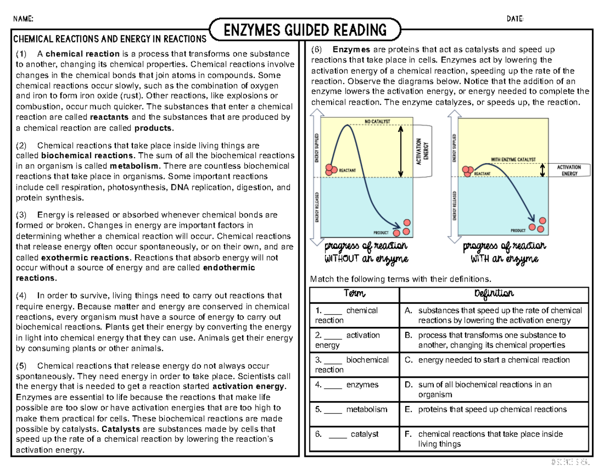 Enzymes Guided Reading WS-1: Chemical Reactions & Energy - Studocu
