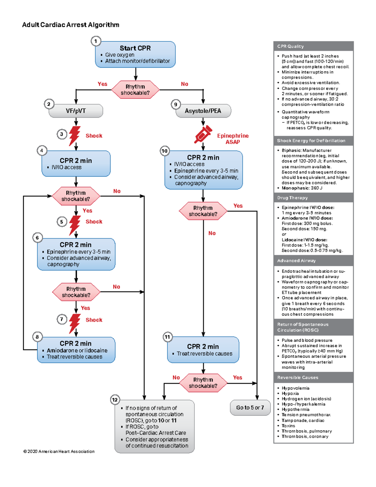 Cardiac Arrest - ACLS - ACLS - No Yes No Adult Cardiac Arrest Algorithm ...