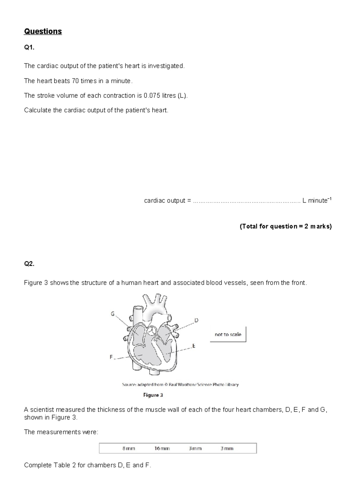 Human Heart Quiz Questions - BIO101 Final Exam Practice - Studocu