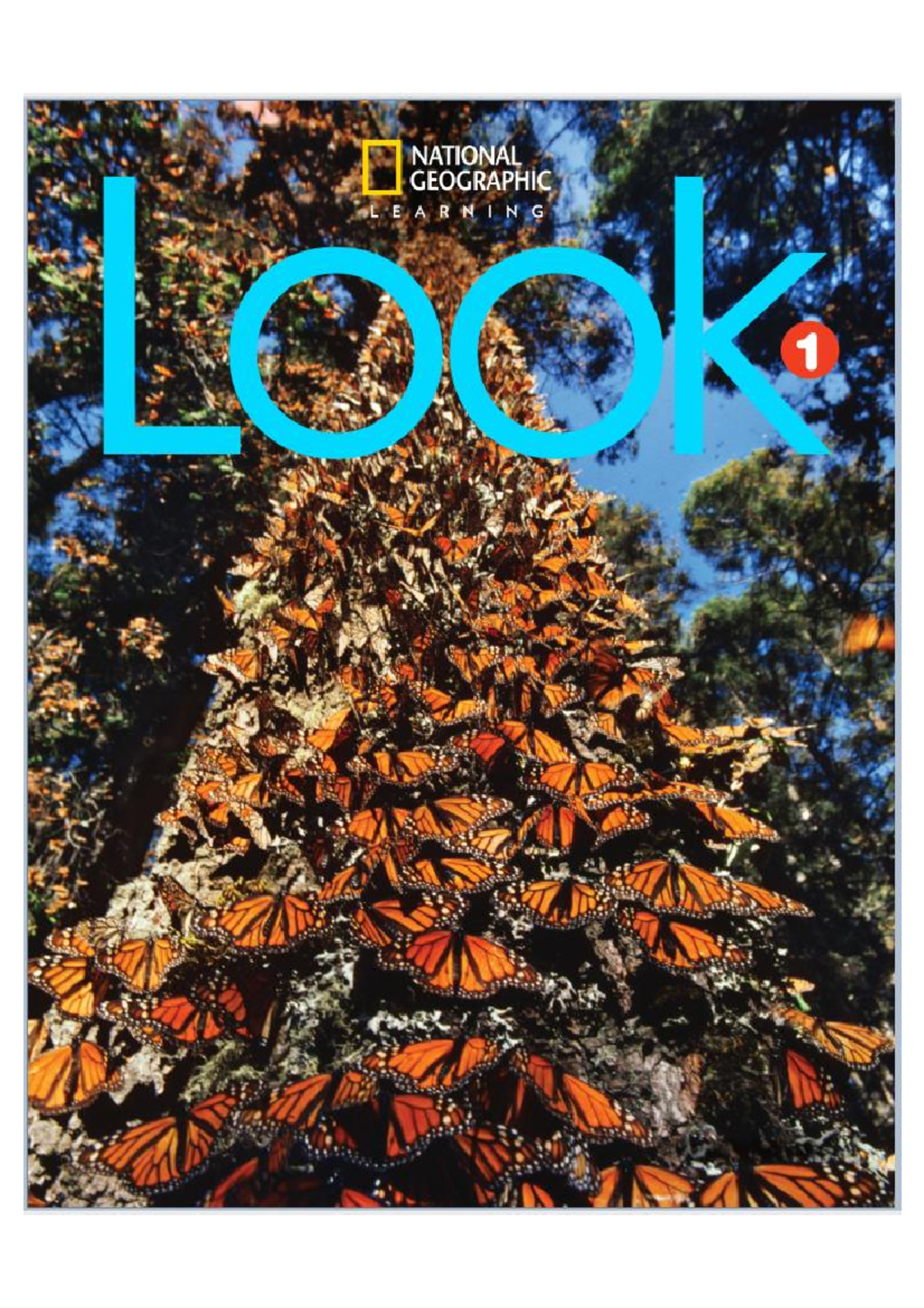 NAT GEO LOOK 1 U1 - Lesson 1 Overview and Activities Summary - Studocu