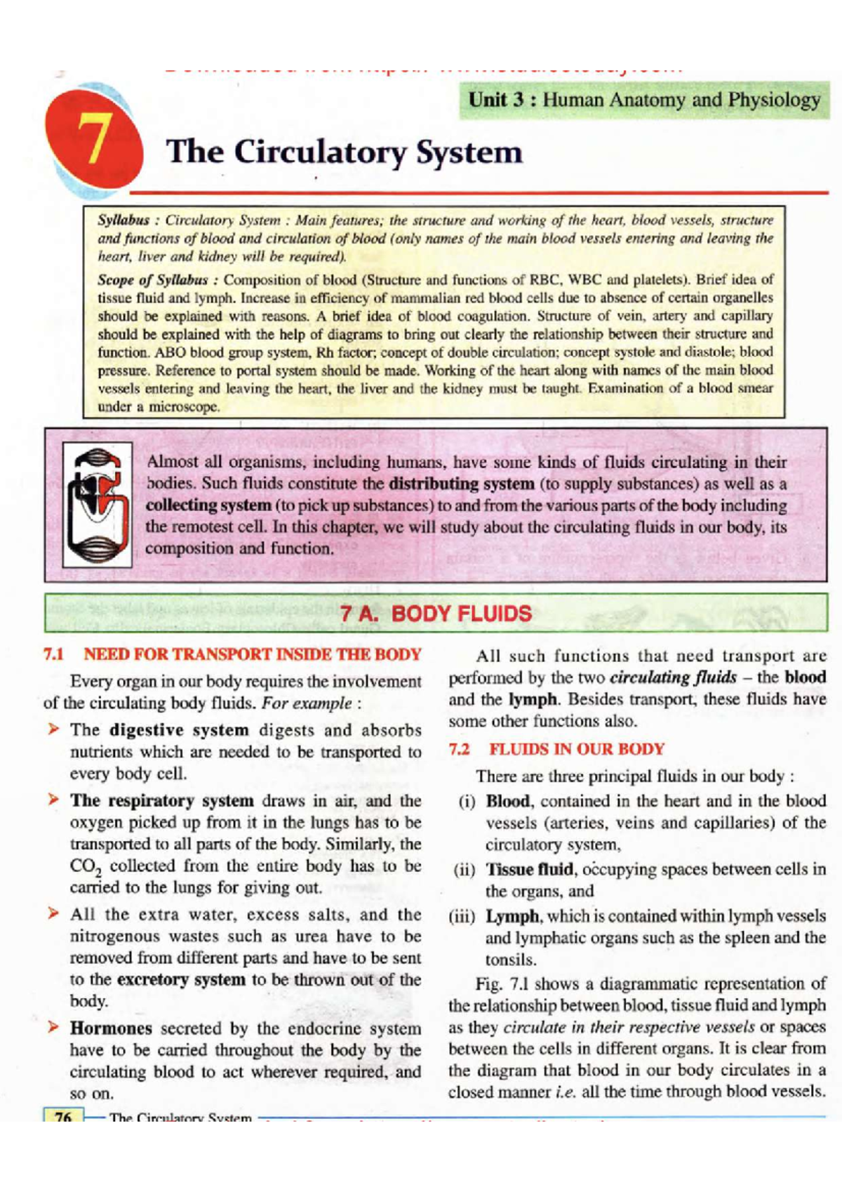 Unit 3: Human Anatomy & Physiology 7 - The Circulatory System Syllabus ...