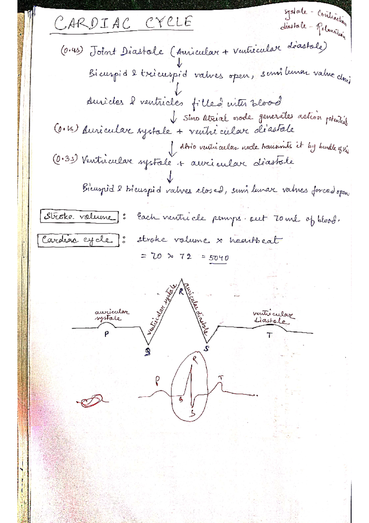 Cardiac cycle flow chart - CARDIAC CYCLE systole Contraction (0) Joint ...