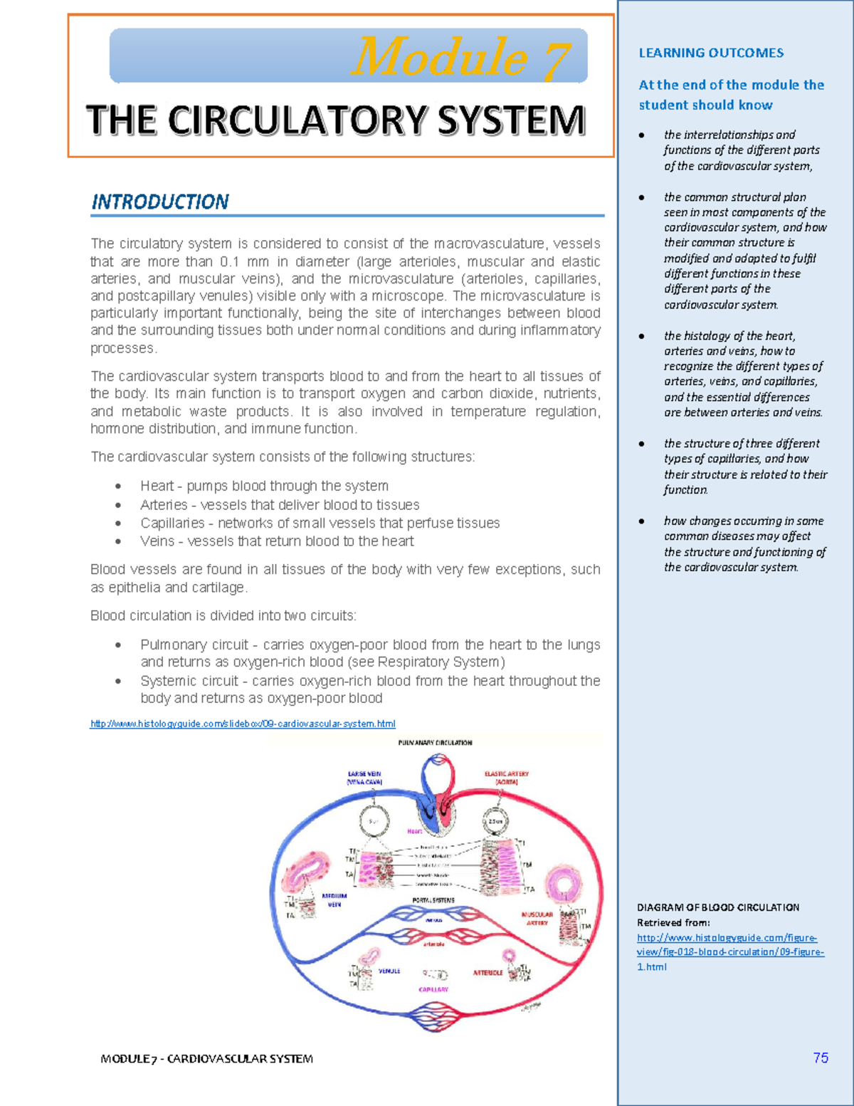 Humhst 1 Module 7 - Human Histology with Pathophysiology Notes ...