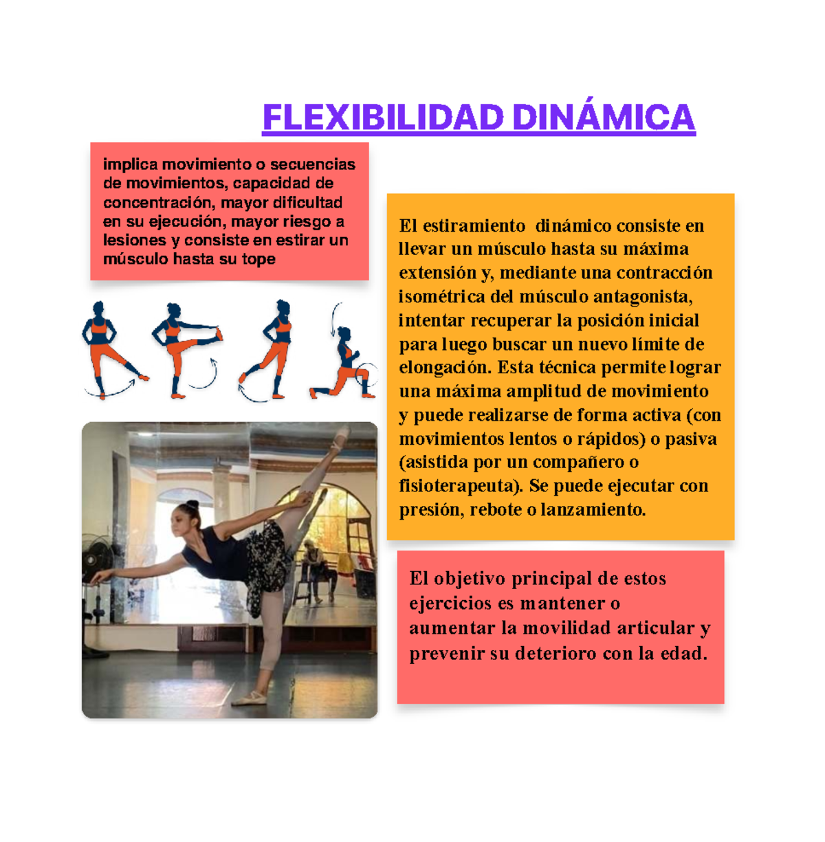 FLEXIBILIDAD Y ESTIRAMIENTO: Mapa Conceptual sobre Dinámica y Ejercicios - Studocu