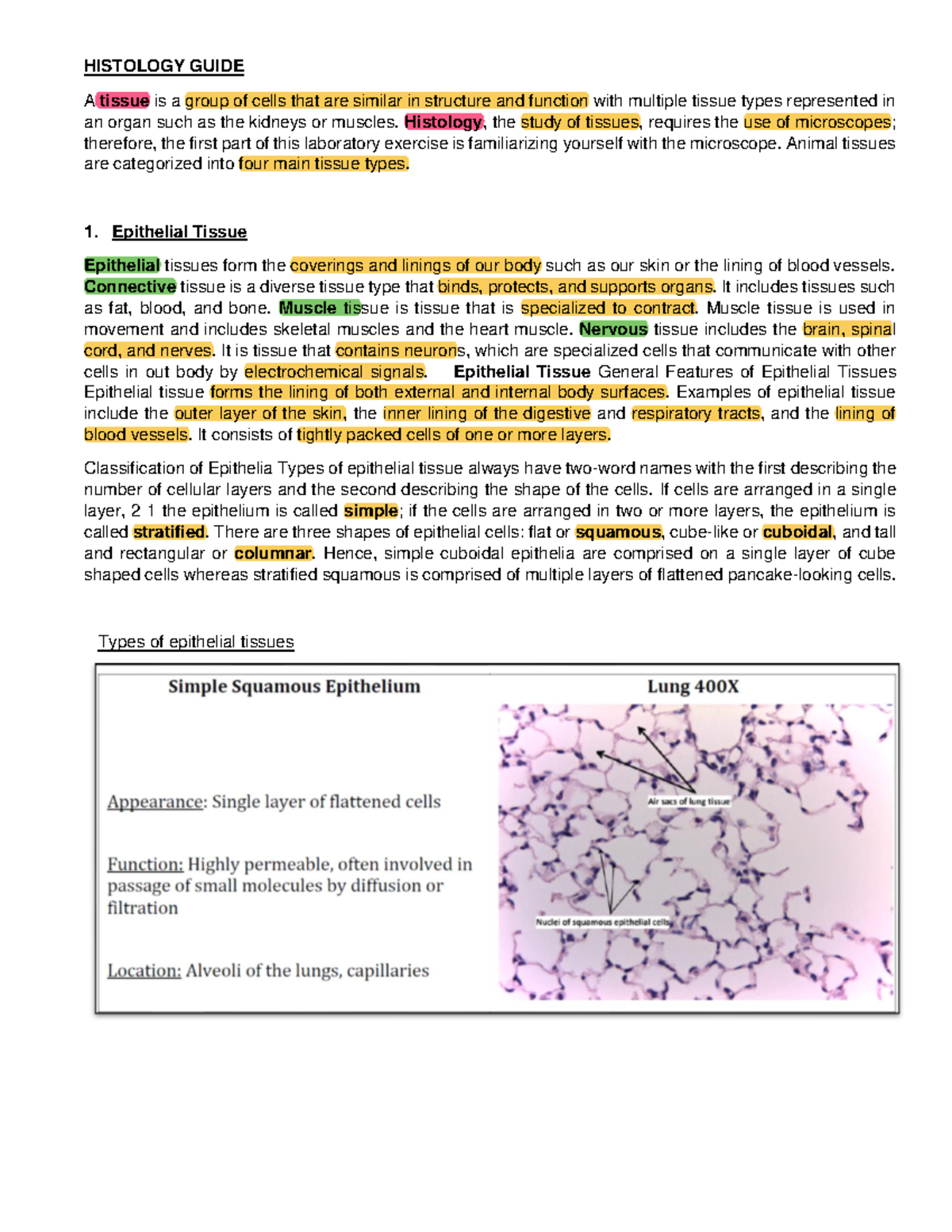 Histology-Guide: Tissue Types & Microscopic Analysis for ANAT 101 - Studocu