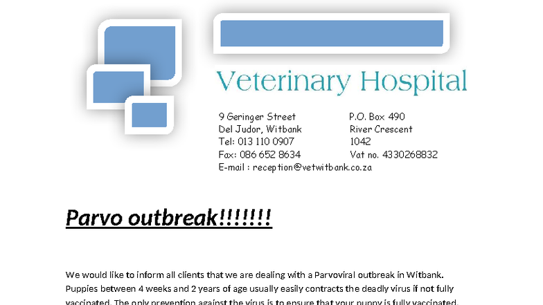 Parvo Virus Outbreak & Prevention Guidelines for Puppies in Witbank ...