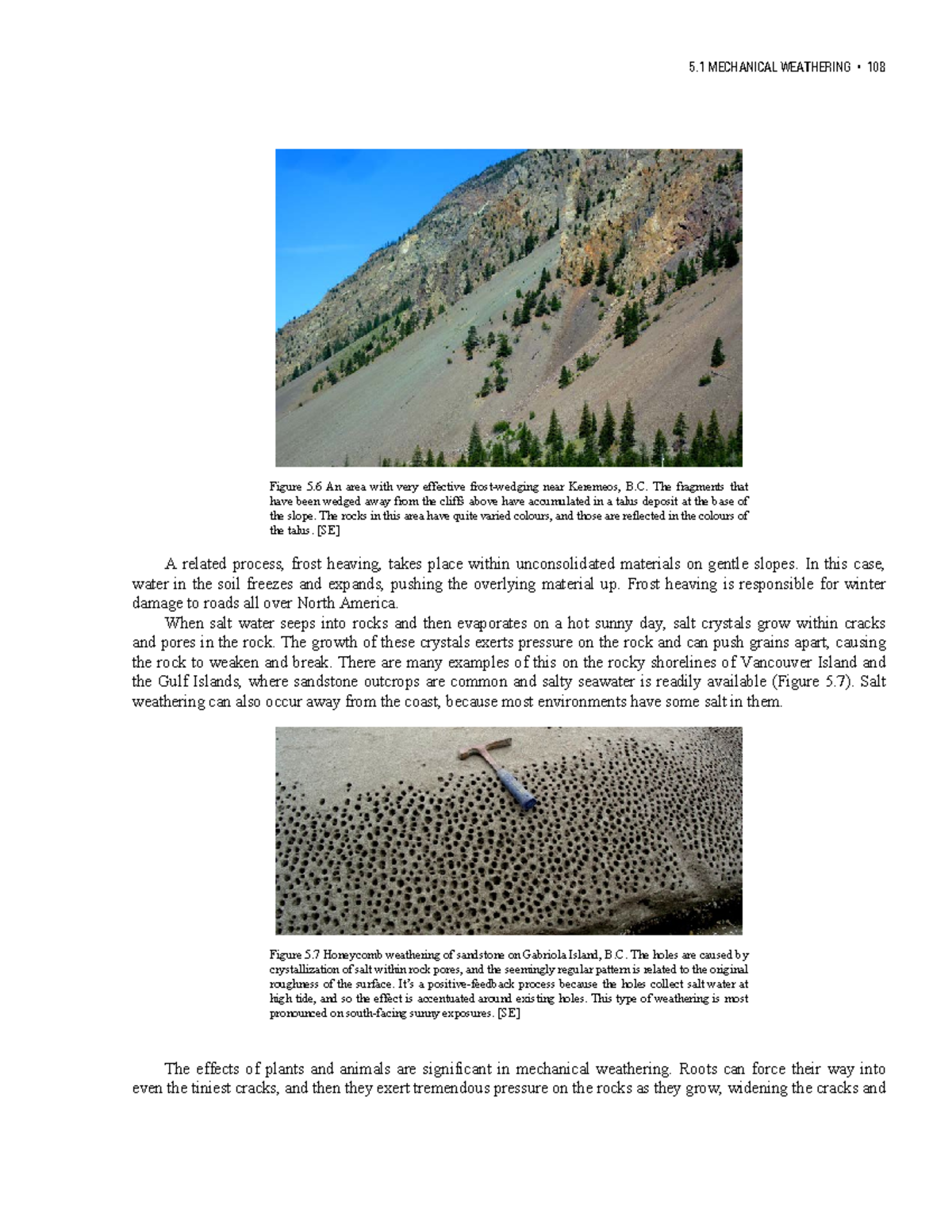 5.1 Mechanical Weathering in Physical Geology (Pages 117-118) - Studocu