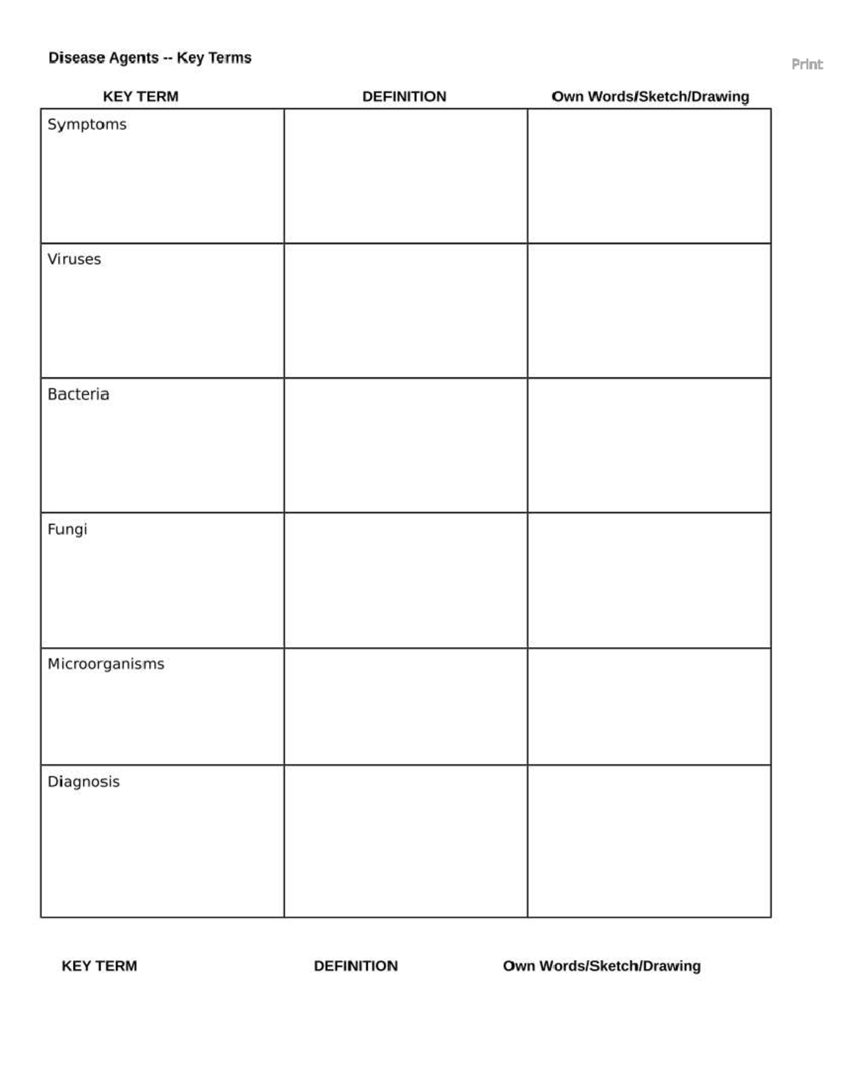 Key term - key terms for agentss - Disease Agents Key Terms Print KEY ...