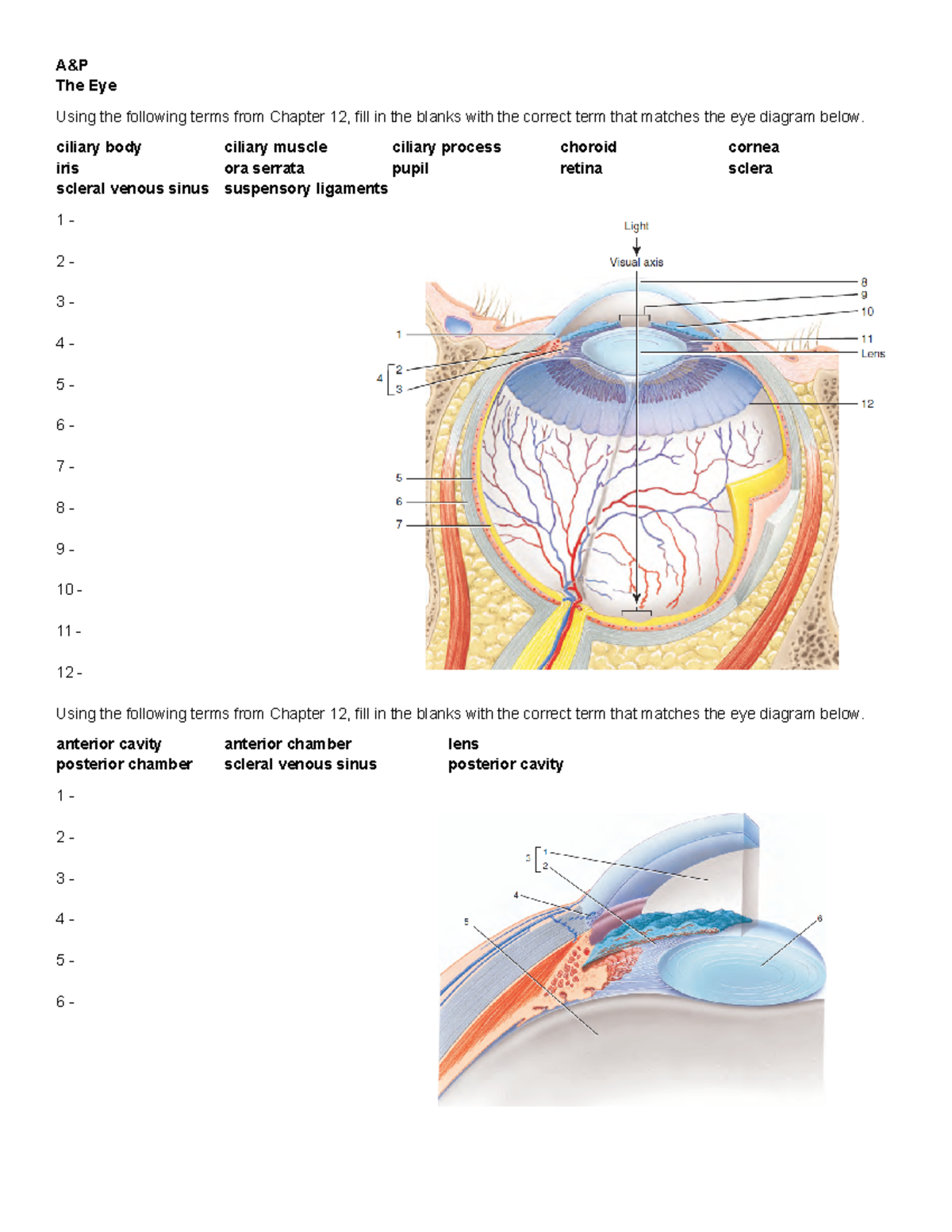 A&P Eye WS #1 - Eye Diagram Fill-in Activity - Studocu