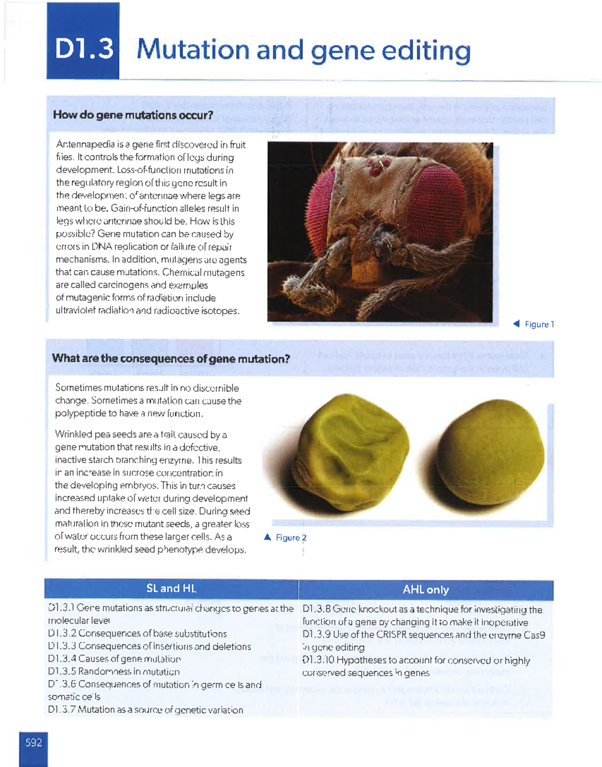 D1.3 Gene Mutations and Gene Editing: Mechanisms and Consequences - Studocu