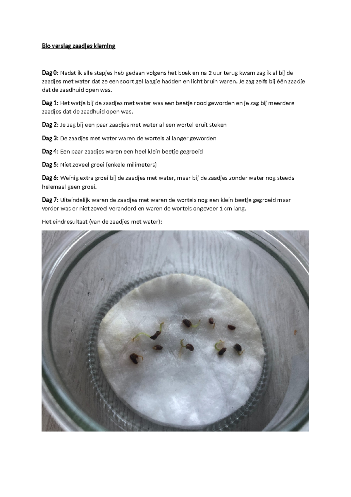 Biologie Verslag: Kieming van Zaadjes en Groei Progressie - Studeersnel