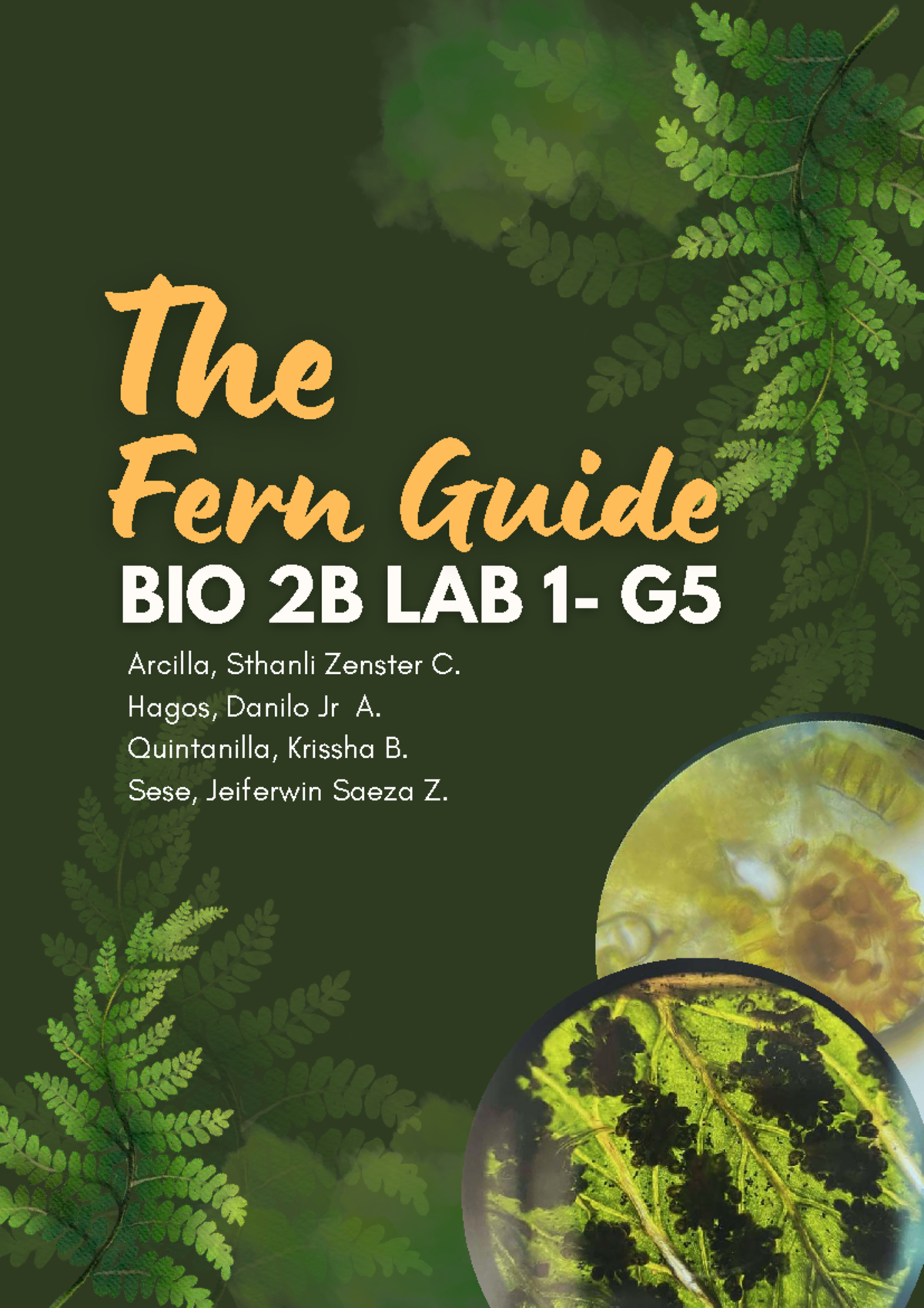 The Fern Guide: BIO 2B LAB Overview and Species Details - Studocu