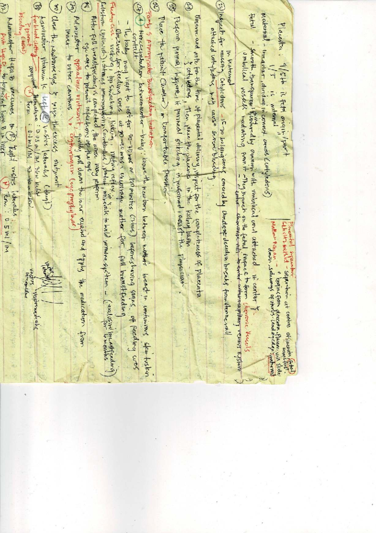 Fetal Placenta Separation & Care: Method & Observations (NURS 202 ...