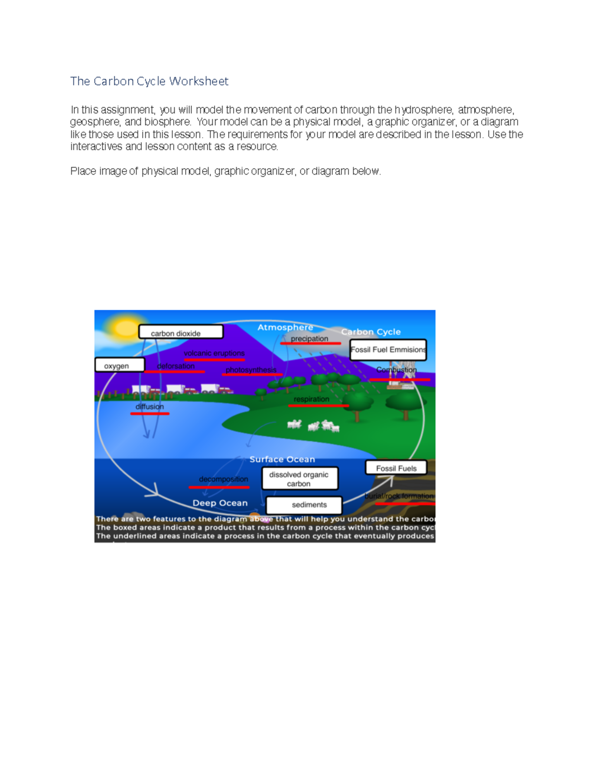 Carbon Cycle Modeling Worksheet: Hydrosphere, Atmosphere, Geosphere ...