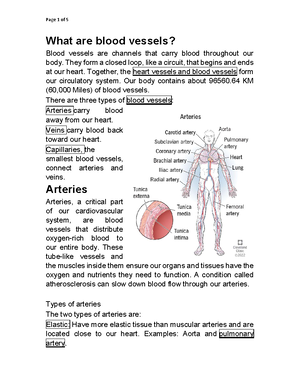 Phlebotomy Chapter 1 Workbook Answer Key & Practice (PHT 101) - Studocu