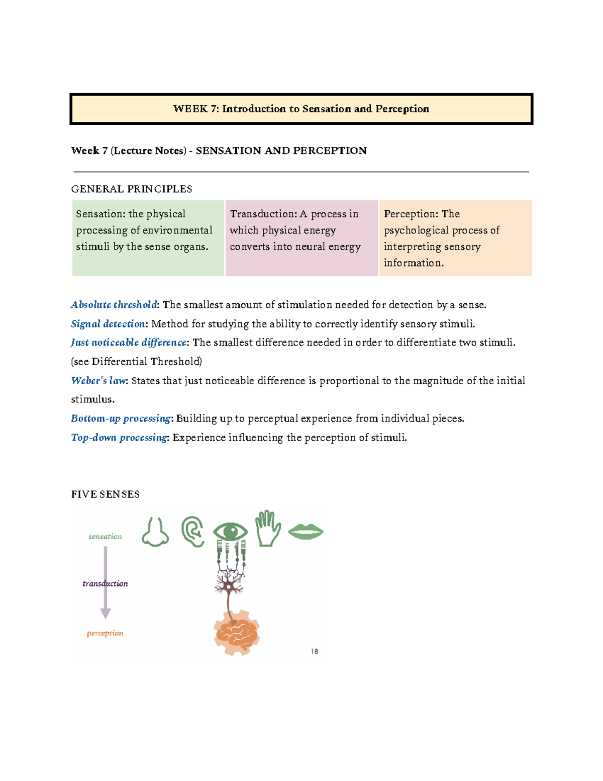 Week 7 - Lecture, Reading etc notes - WEEK 7: Introduction to Sensation ...
