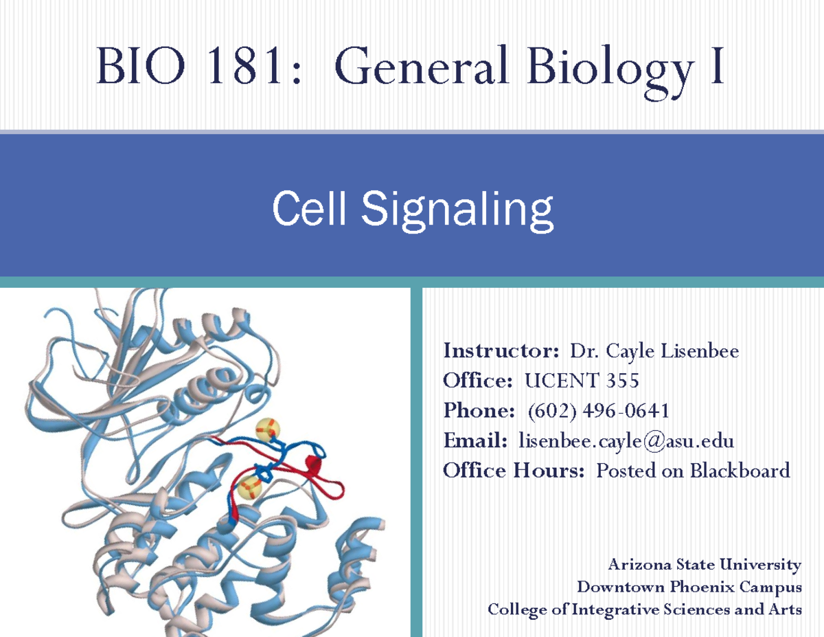 BIO 181: General Biology I - Notes on Cell Signaling & Communication ...