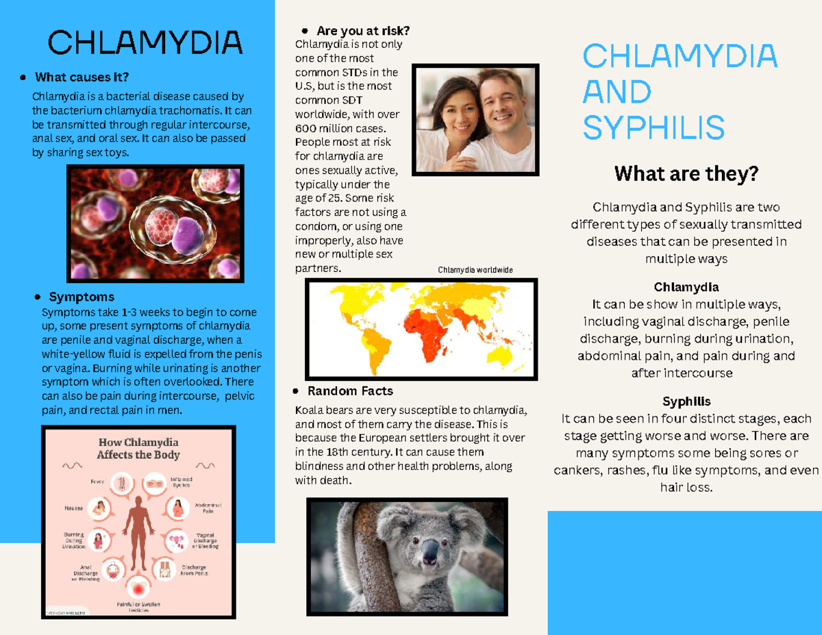Chlamydia and Syphilis: Causes, Risks, and Symptoms Overview - Studocu