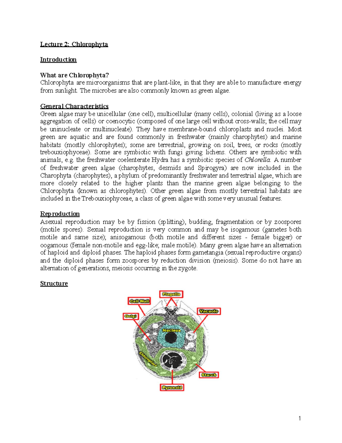 Lecture 2: Introduction to Chlorophyta and Their Characteristics - Studocu