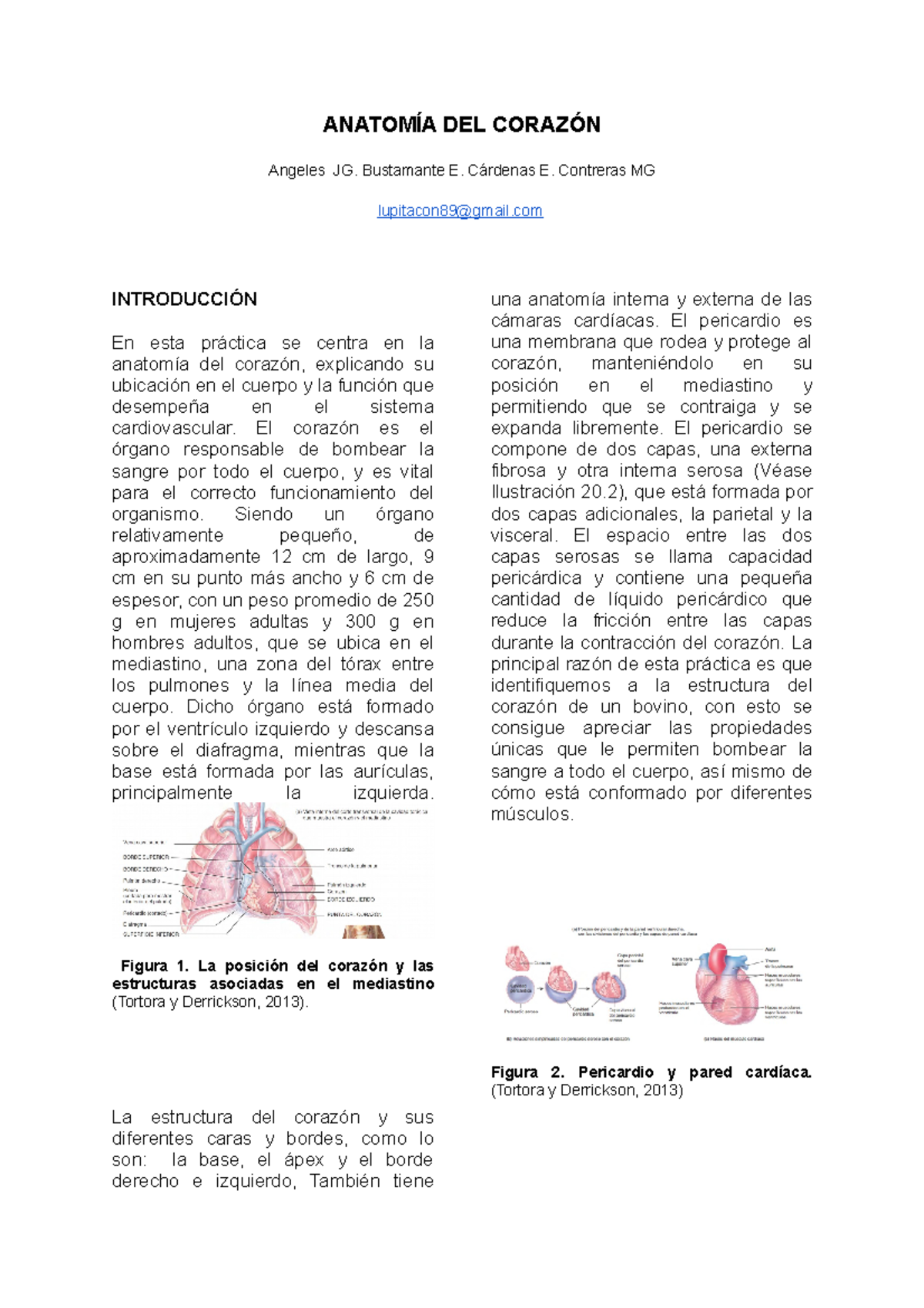 Práctica 7: Anatomía del Corazón Bovino y sus Estructuras - Studocu