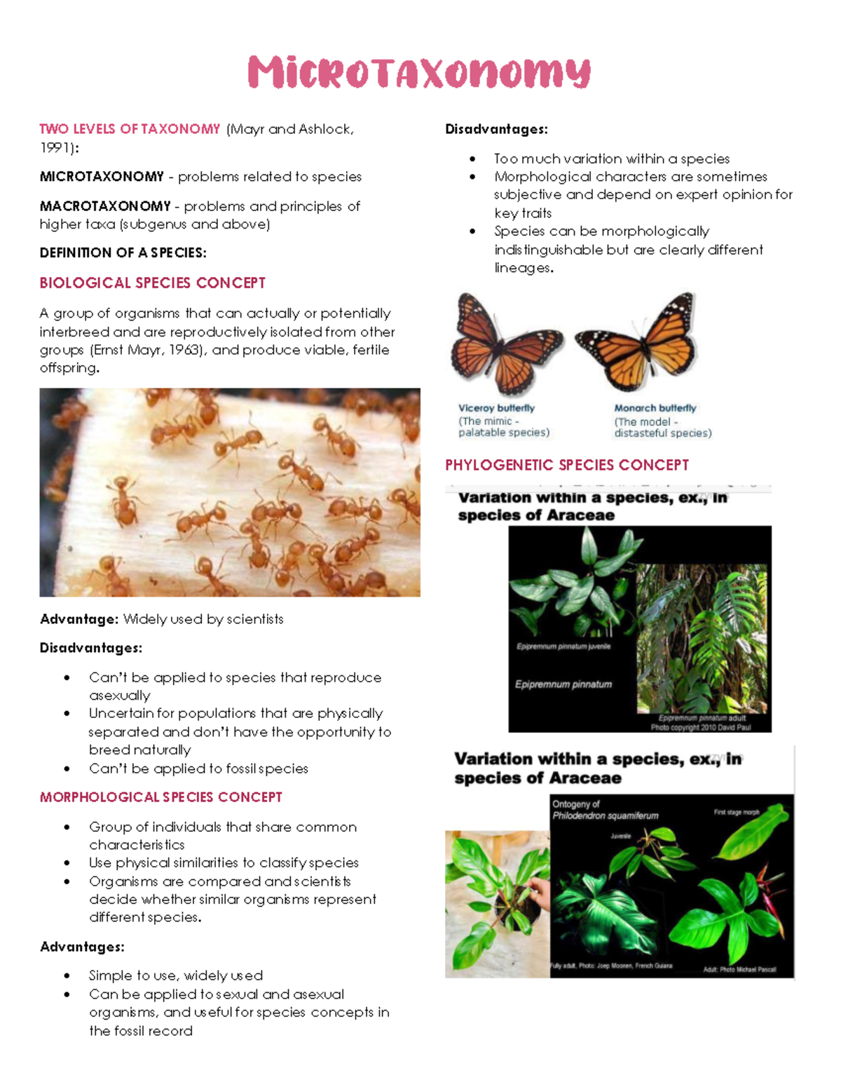Microtaxonomy: Exploring Species Definition and Classification - Studocu