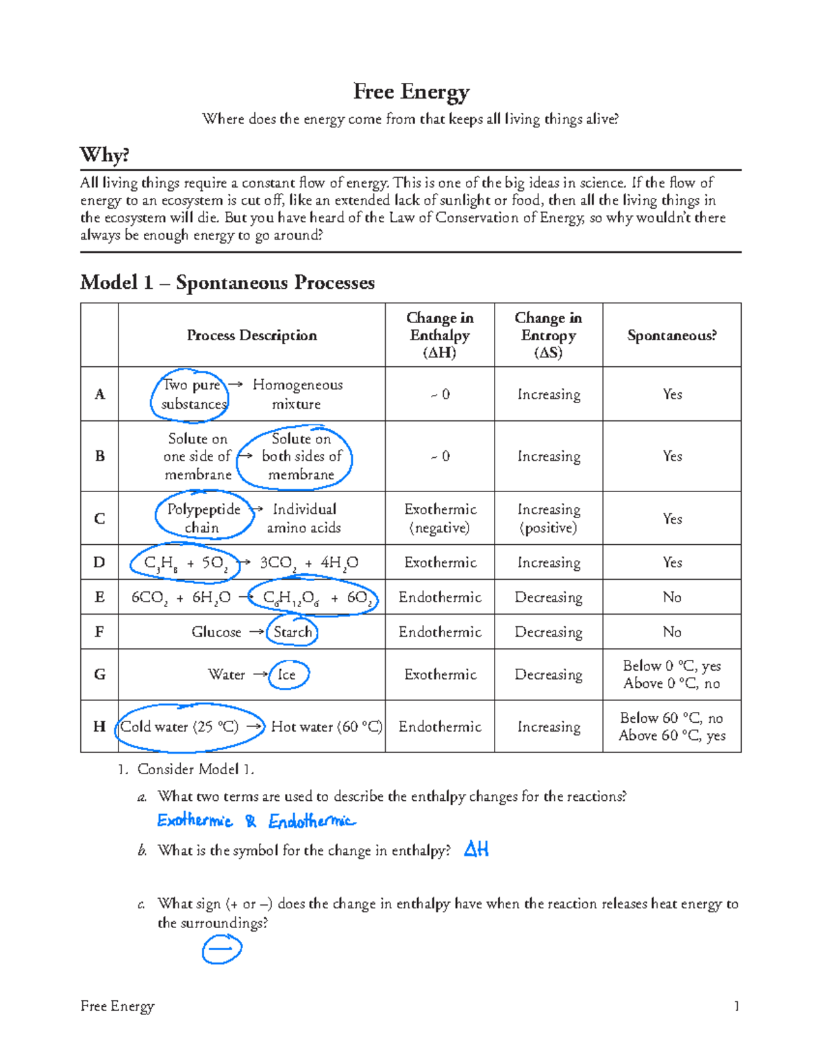 8 Free Energy - Chapter 8 Practice Questions and Key Concepts - Studocu