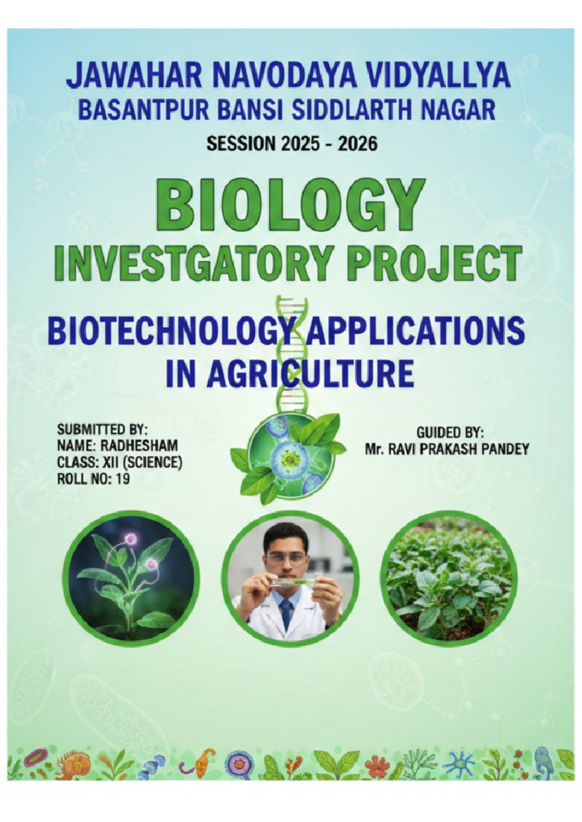 Biology Investigatory Project: Biotechnology Applications in ...