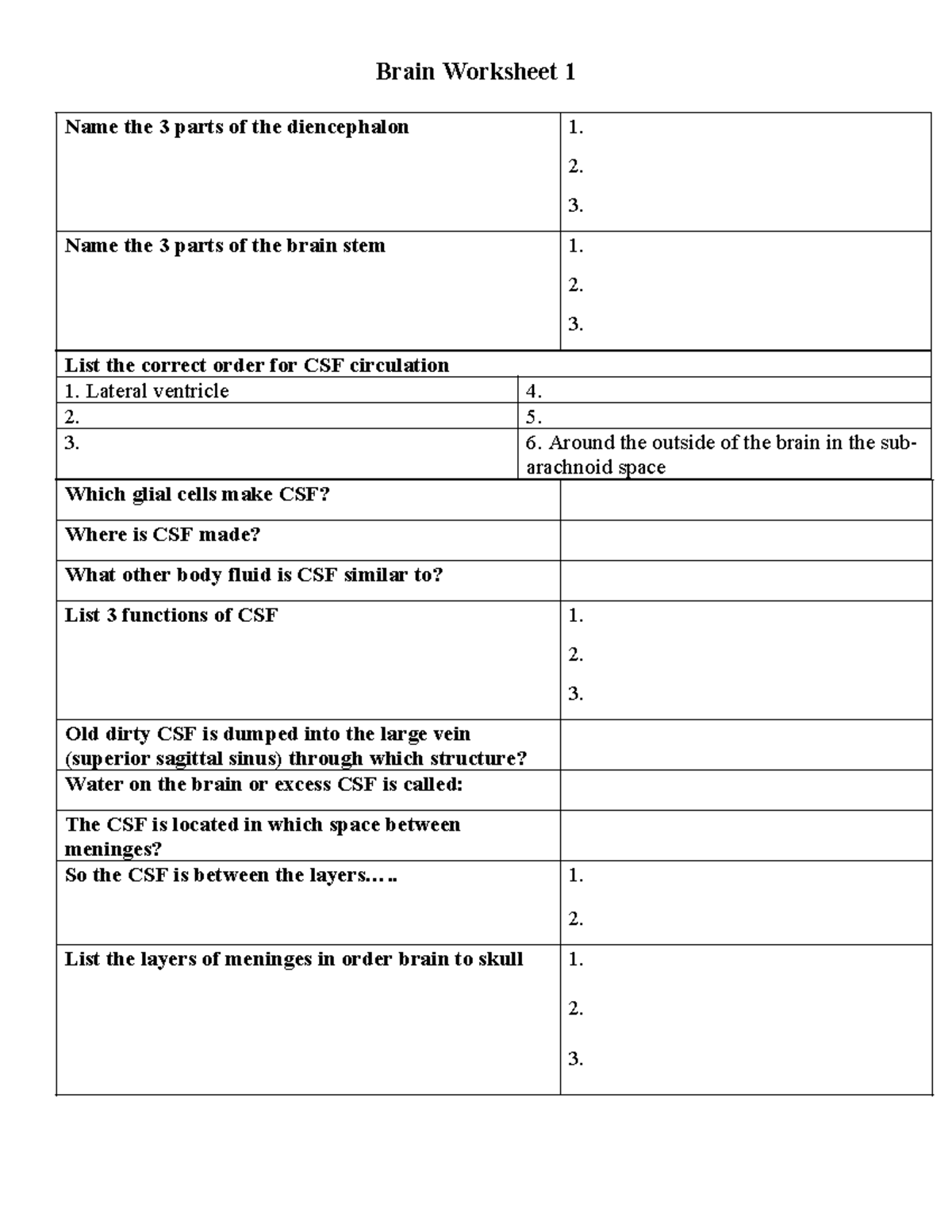 Brain Worksheet 1: Diencephalon, Brain Stem, and CSF Functions - Studocu