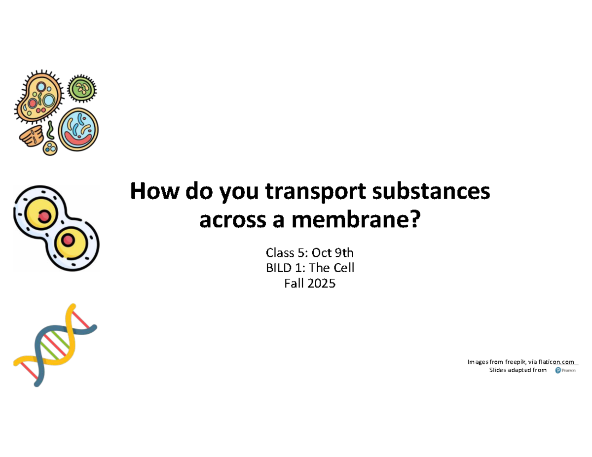BILD 1 Class 5: Membrane Transport Overview - Fall 2025 - Studocu