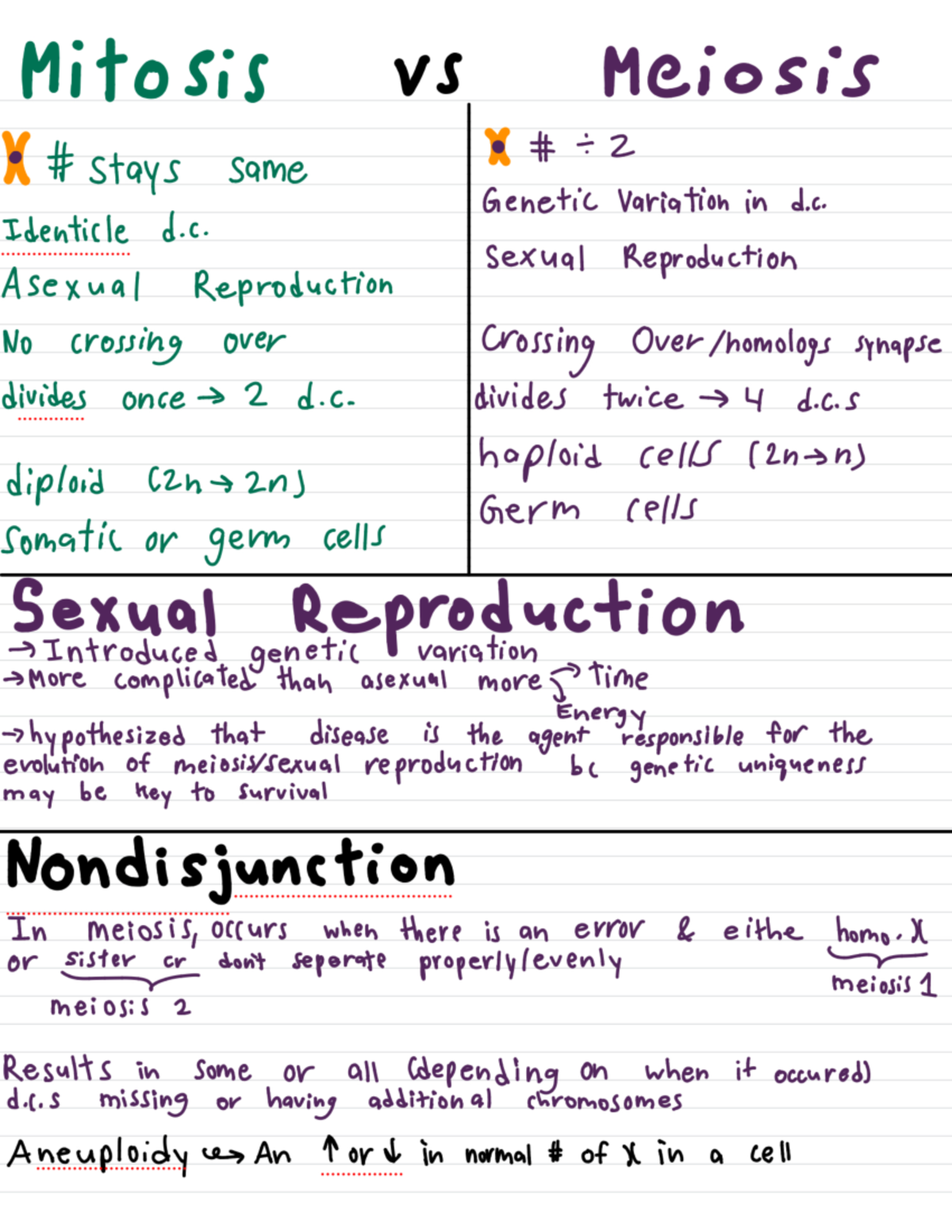 Mitosis vs Meiosis: Genetic Variation and Reproduction (MT 1 Notes ...