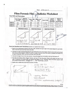 Xplorlabs Fire Forensics - I’m Dana Niblett- a Science teacher ...
