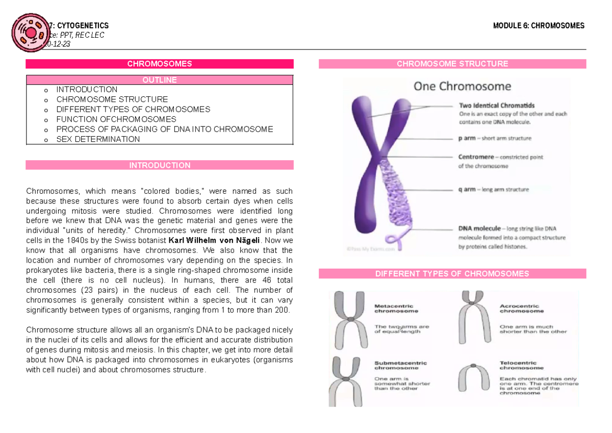 Chromosome Structure And Function Ppt