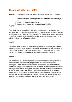 Grade 12 IEB Life sciences notes - reproductive systems - THE STRUCTURE ...