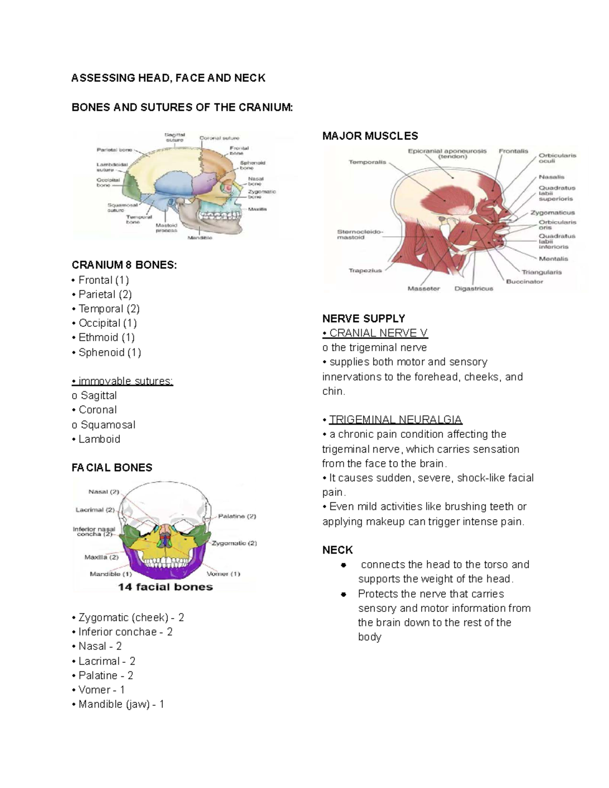 HA - LEC: Assessment of Head, Face, and Neck Anatomy and Function - Studocu