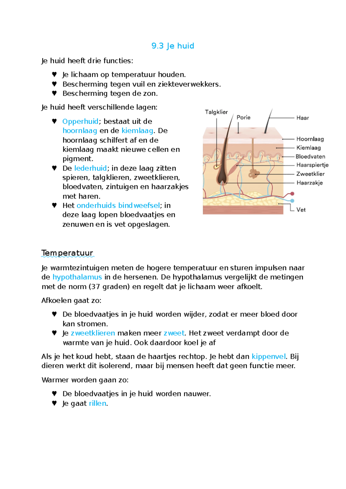 9.3 Je Huid: Functies en Temperatuurregulatie van de Huid - Studeersnel