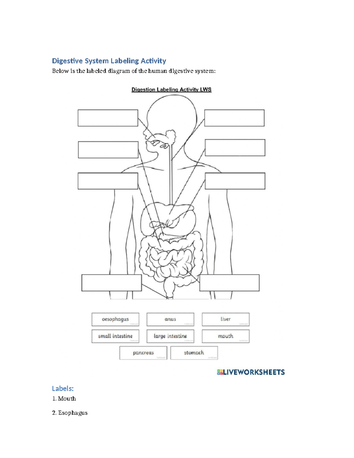 Digestive System Labeled - Understanding the Self - Digestive System ...