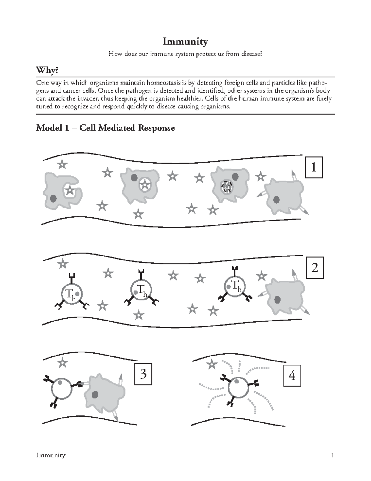 AP Biology Immunity Worksheet: Understanding Immune Responses - Studocu