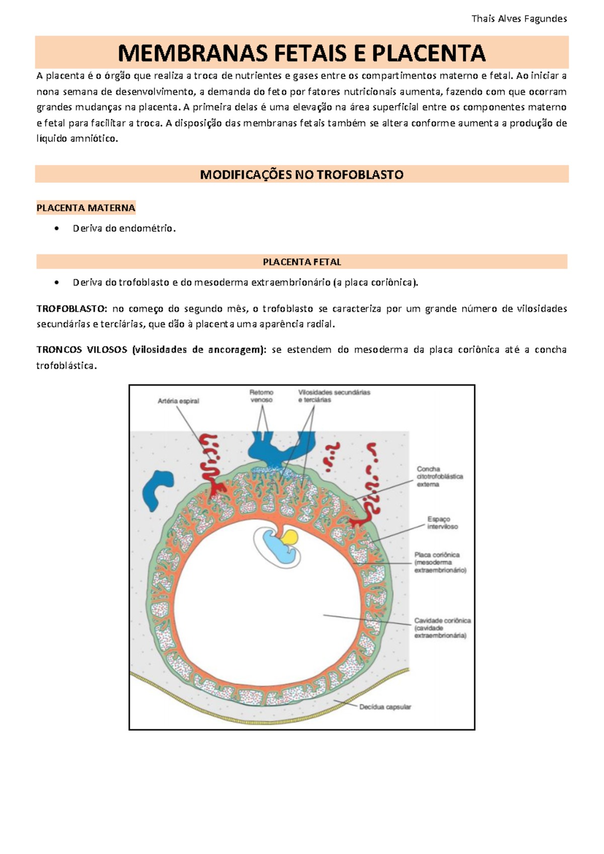 GT 3 - Feto e Placenta: Estruturas e Funções da Placenta e Membranas ...