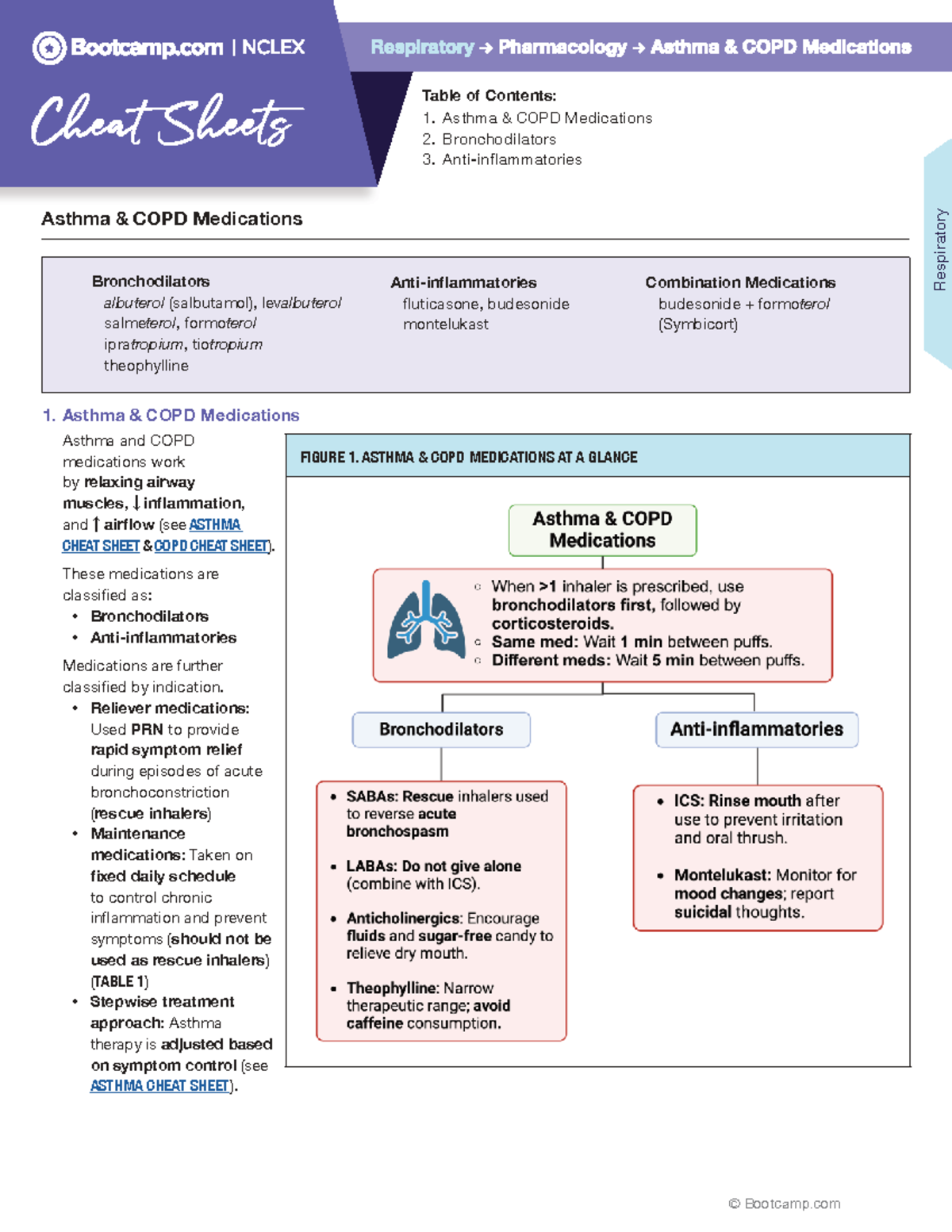 Asthma & COPD Medications Cheat Sheet: Key Points & Guidelines - Studocu