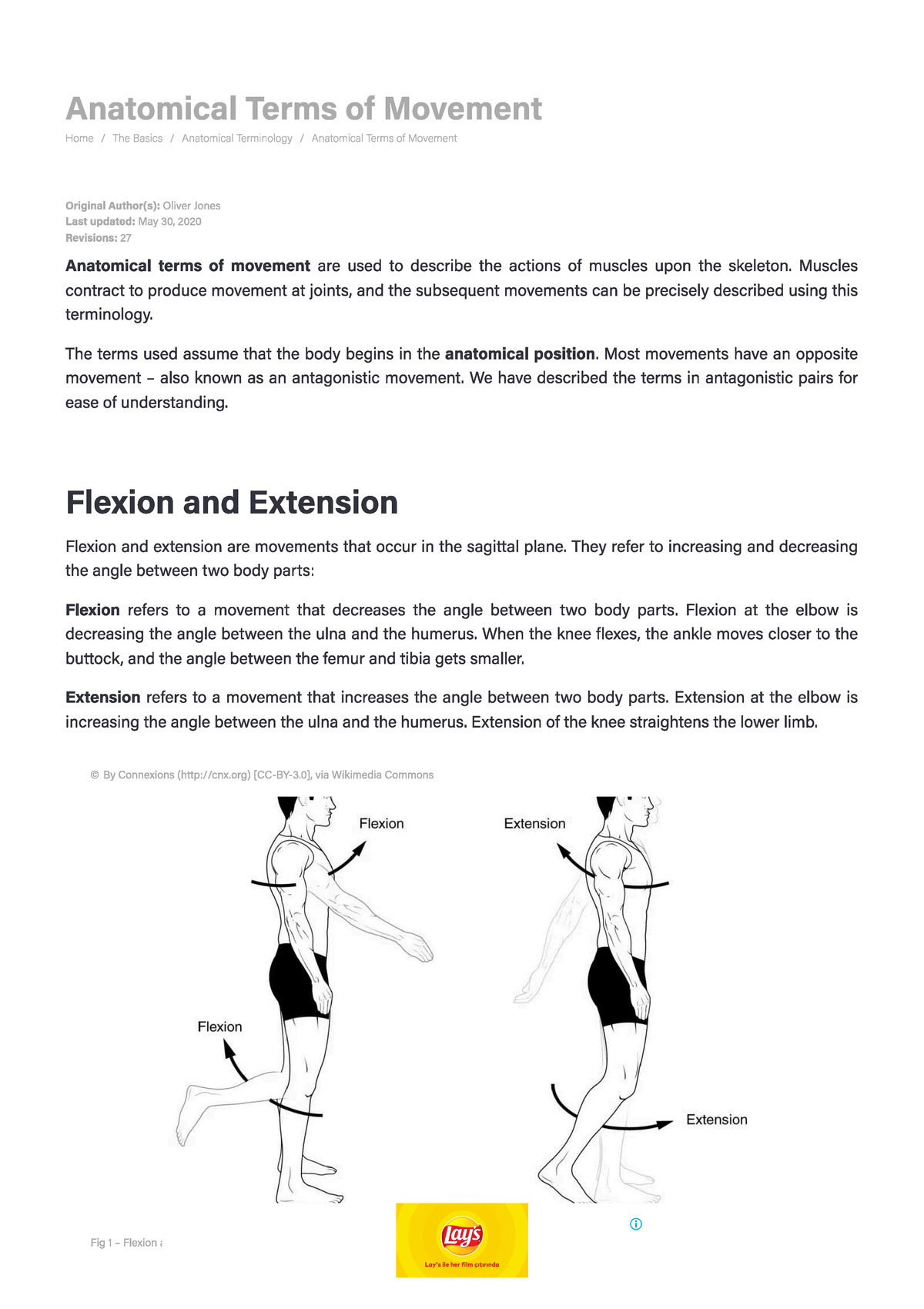 Anatomical Terms of Movement: Key Concepts & Definitions - Studocu