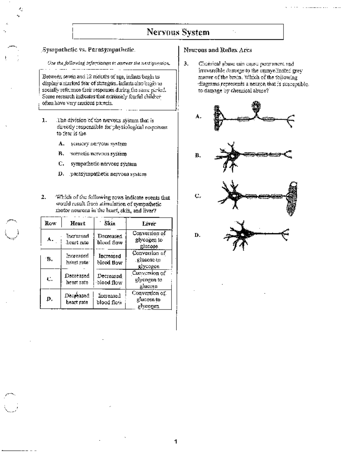 Bio30 - Final Exam Review: Nervous System & Hormonal Control - Studocu