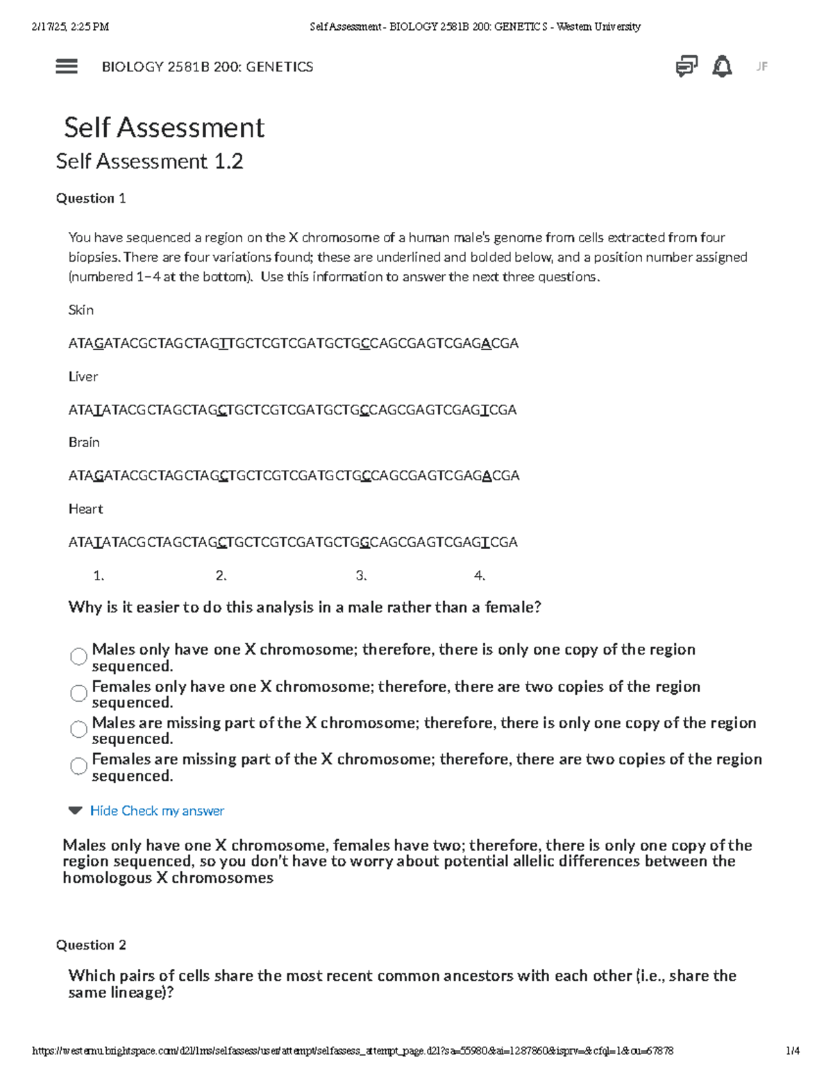 1.2 self assement - Pratice Probs for Genetics module 1 - Self ...
