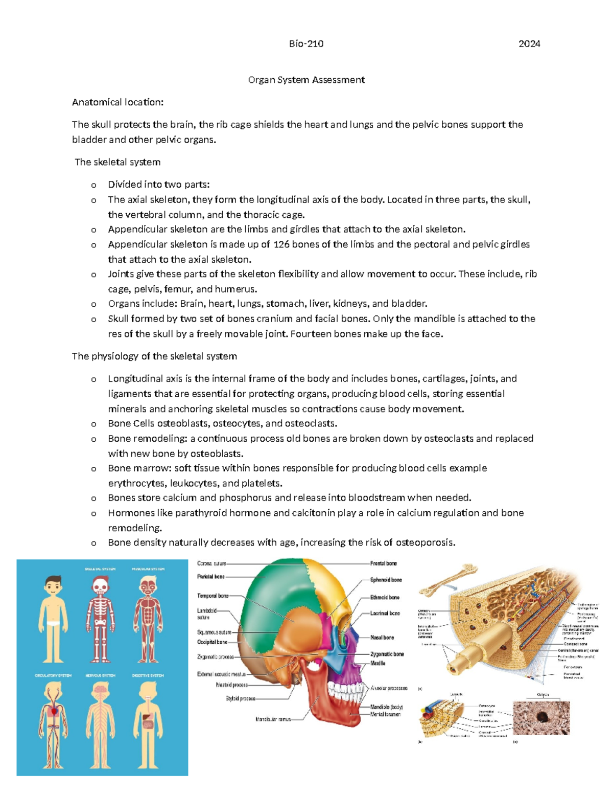 Bio-210Organ System Assessment - Bio-210 2024 Organ System Assessment ...