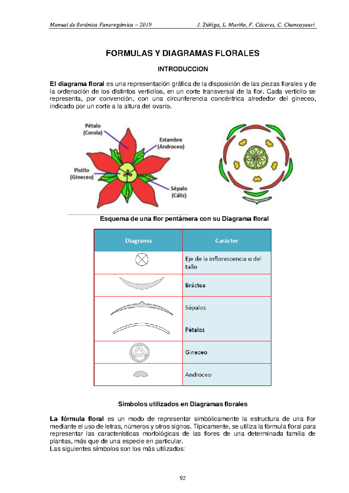Diagrama De Planta De Ovario